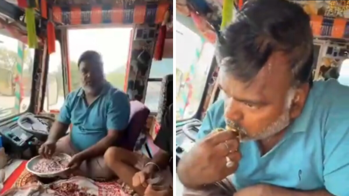 Remember Truck Driver Cum Vlogger? Anand Mahindra Shares His Inspiring Story - News18