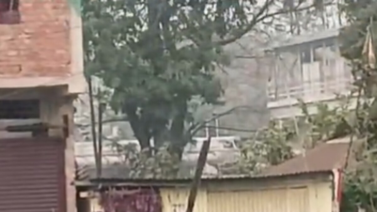 This Video Of Wild Gaur Attacking Man In Broad Daylight Is As Scary As ...