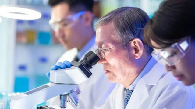 Scientists Working On Jurassic Park-style Project To Bring Extinct ...