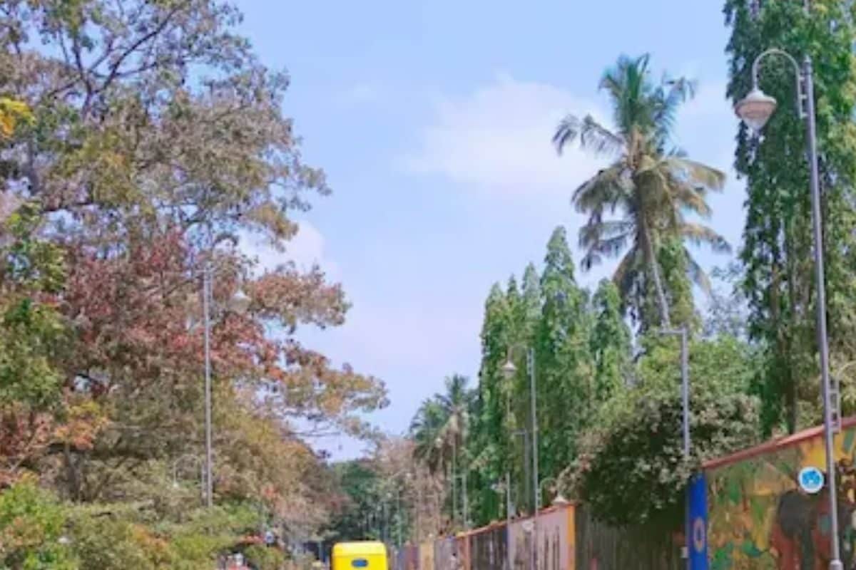 Why Kerala's Manaveeyam Veedhi Road Is A Major Tourist Attraction ...