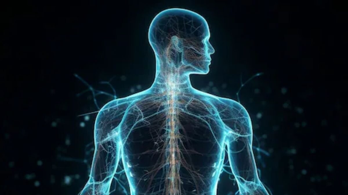 How High A Human Body's Temperature Can Go - News18