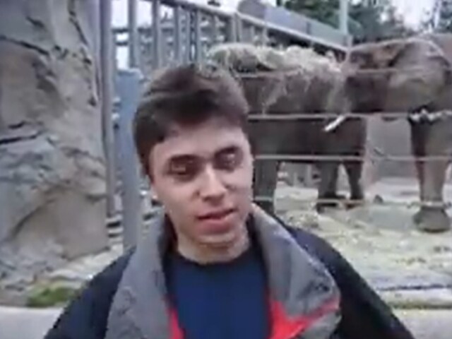 Ever Watched YouTube’s First Video? It Was Uploaded Today 19 Years Ago ...