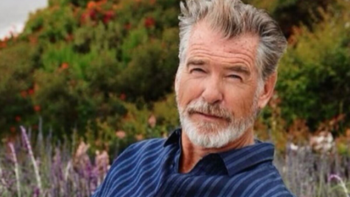 James Bond Star Pierce Brosnan To Play A Spy In Simon Barry's Directorial Debut? | Movies News ...