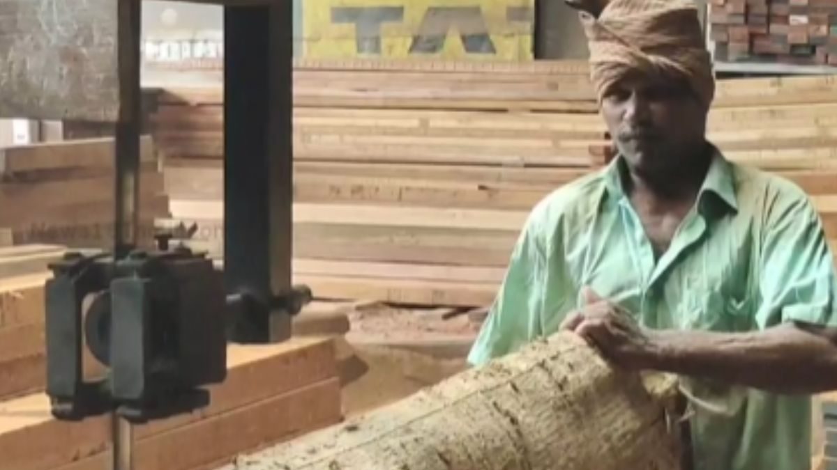 Tenkasi's Timber Traders Turn To Overseas Markets Amid Local Tree ...