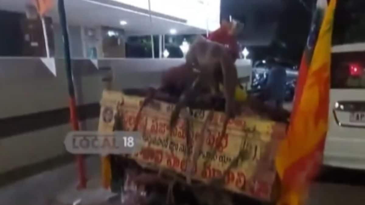 In Visakhapatnam, Man Campaigns For Lok Sabha Elections With Monkey On ...