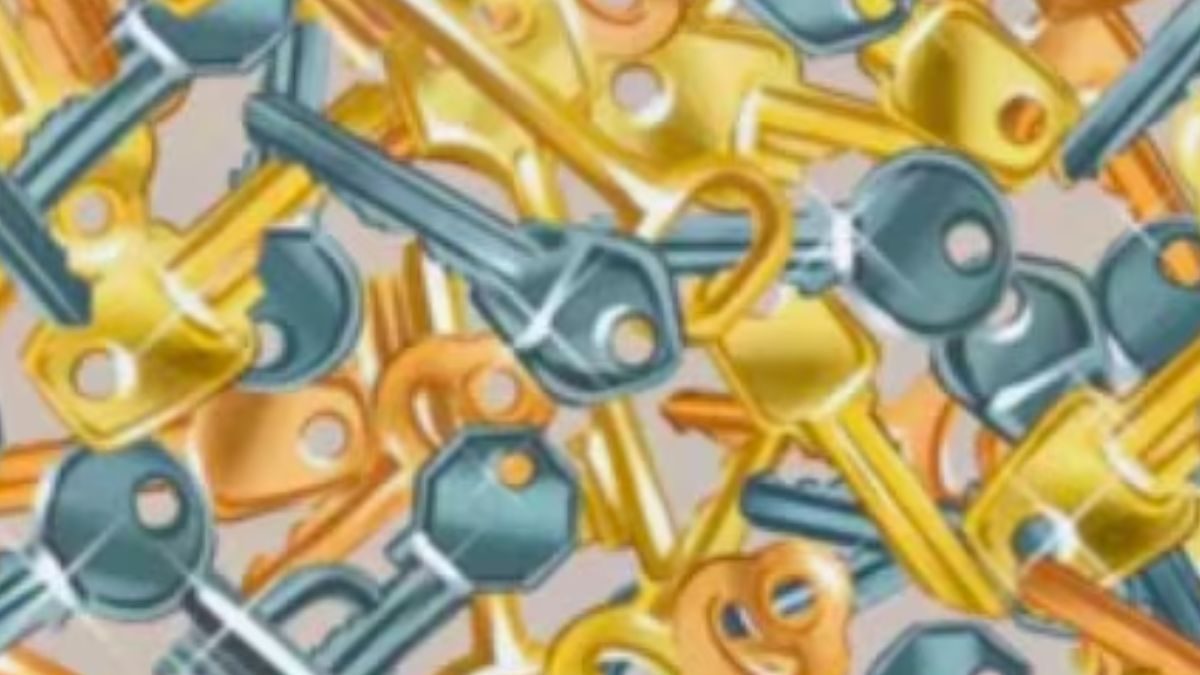Find The Hidden Bell Among Keys; You've 11 Seconds | Viral News - News18