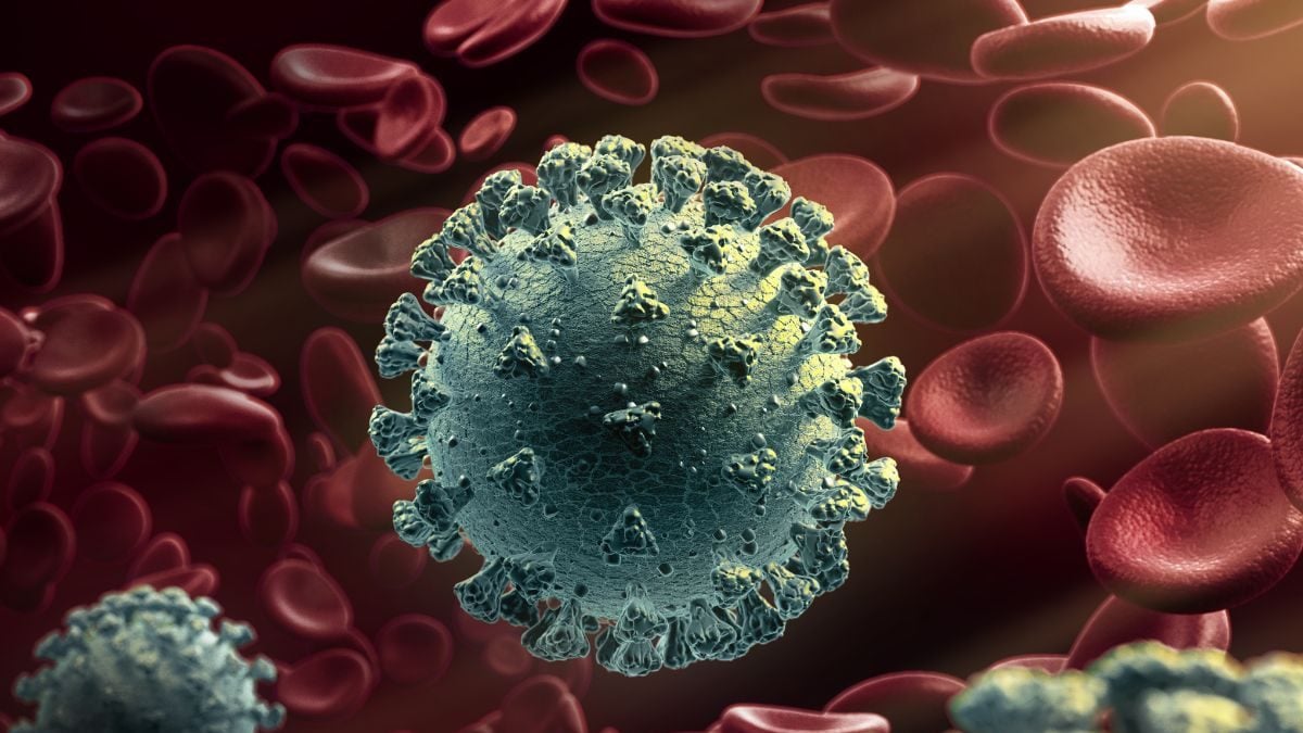 Nipah Virus Claims Second Life in Kerala This Year; Here’s All You Need ... Nipah Virus Claims Second Life in Kerala This Year; Here’s All You Need ...