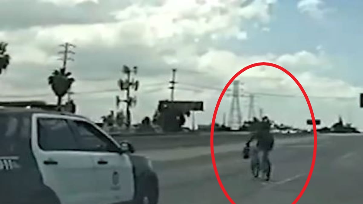 Video: Cops Chase Man Who Tried To Pedal Away On A Bicycle After ...