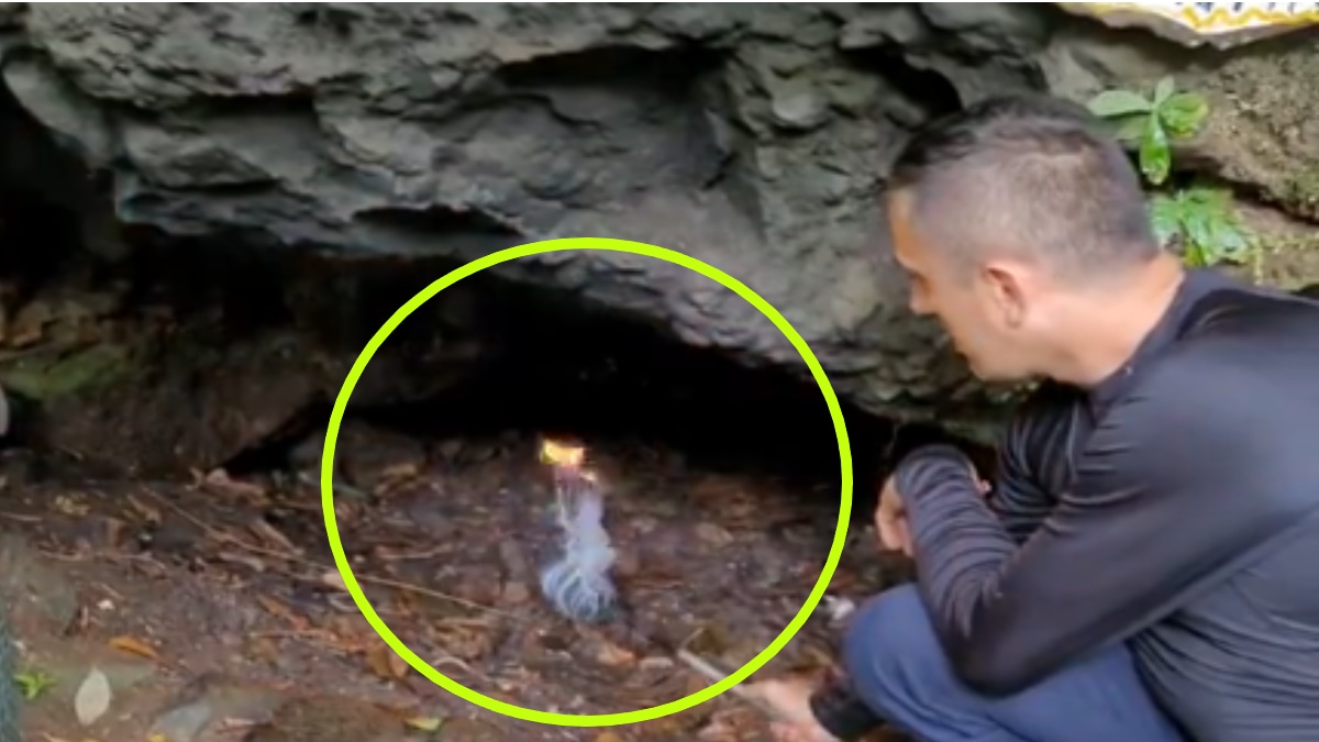 The Cave Of Death: Why Costa Rica’s Cueva de la Muerte Kills All That ...