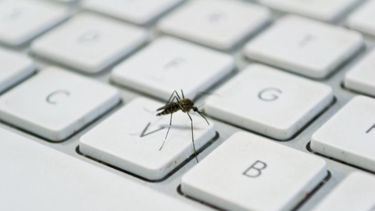 Is The Mosquito Typing For Real? This Viral Post Claims So - News18
