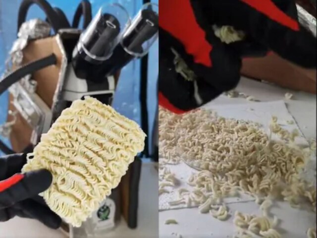 Microscopic Examination Of Instant Noodles Reveals Hidden Organisms ...