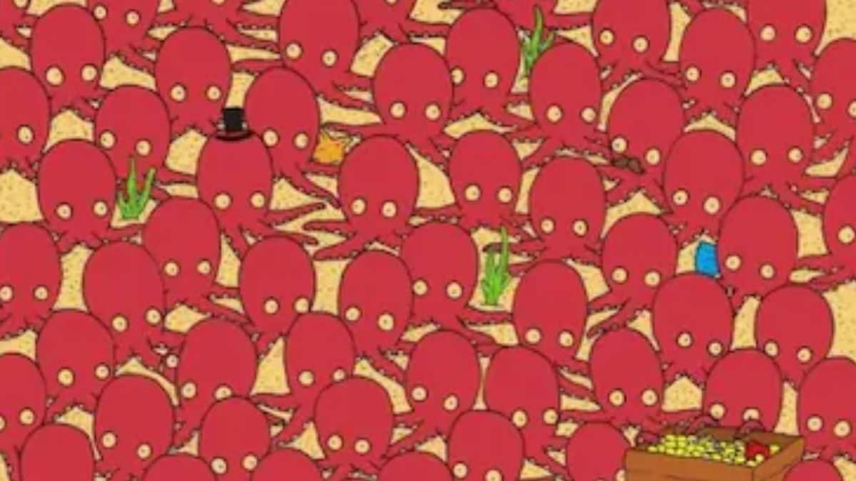 Optical Illusion: Spot The Camouflaged Fish Among The Red Octopuses In ...