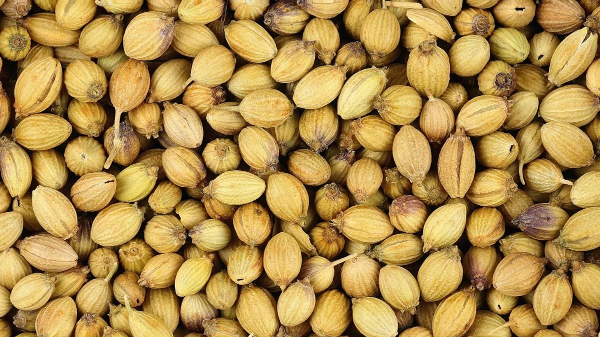 6 Benefits Of Drinking Soaked Coriander Water Everyday | Lifestyle News ...