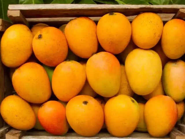 This Kerala Mango Variety First From The State To Get GI Tag - News18