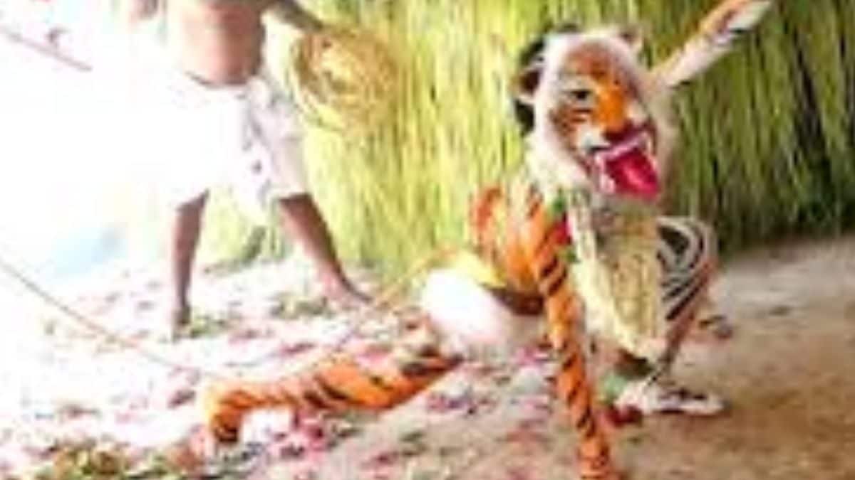 Inside Tulu Nadu's Pili Kola Festival, The 5-Day Event That Draws ...