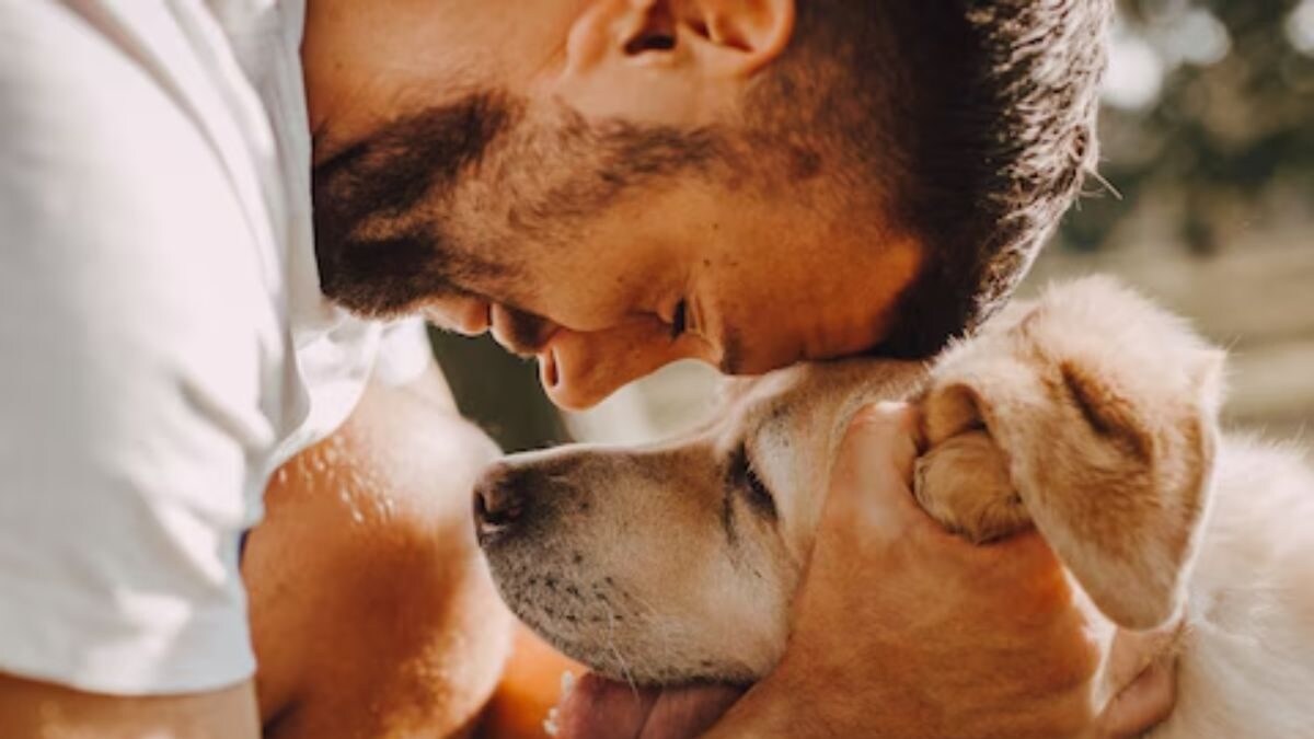 UK Pet Owners On Alert As Alabama Rot Spreads - News18