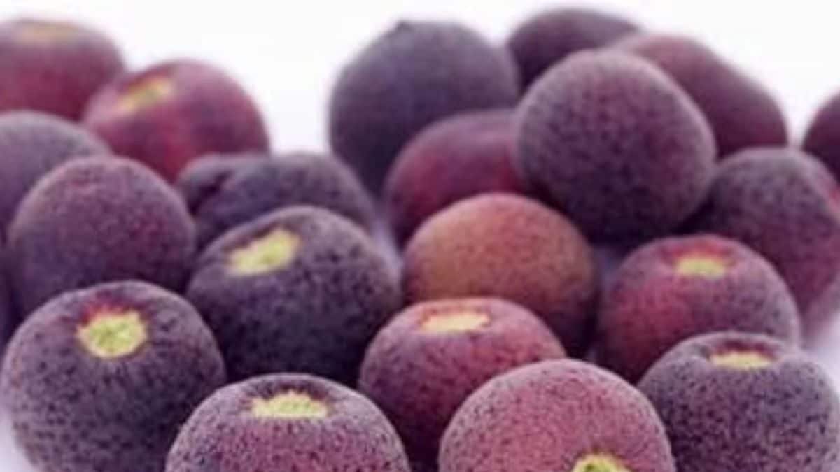 Why Phalsa Fruit Is A Must-add To Diabetic Patients’ Diet | Lifestyle ...