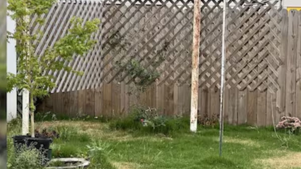 Optical Illusion: Spot The Hidden Animal In This Garden; You've 12 ...