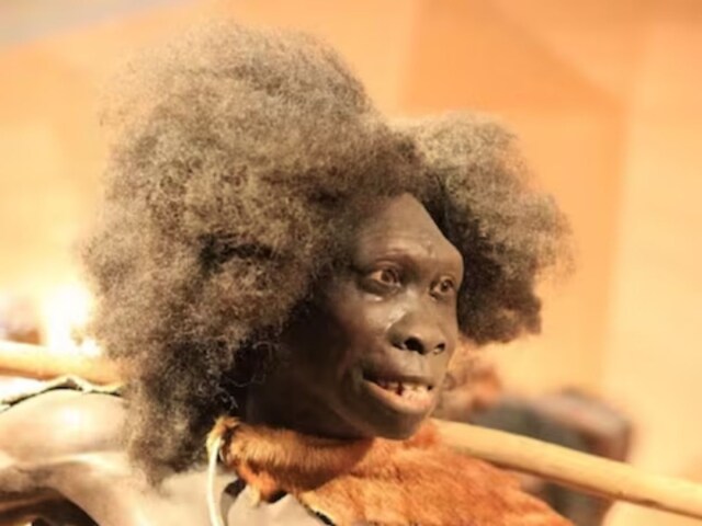 From Primates To Dominance, Tracking The Evolution Of Humankind - News18