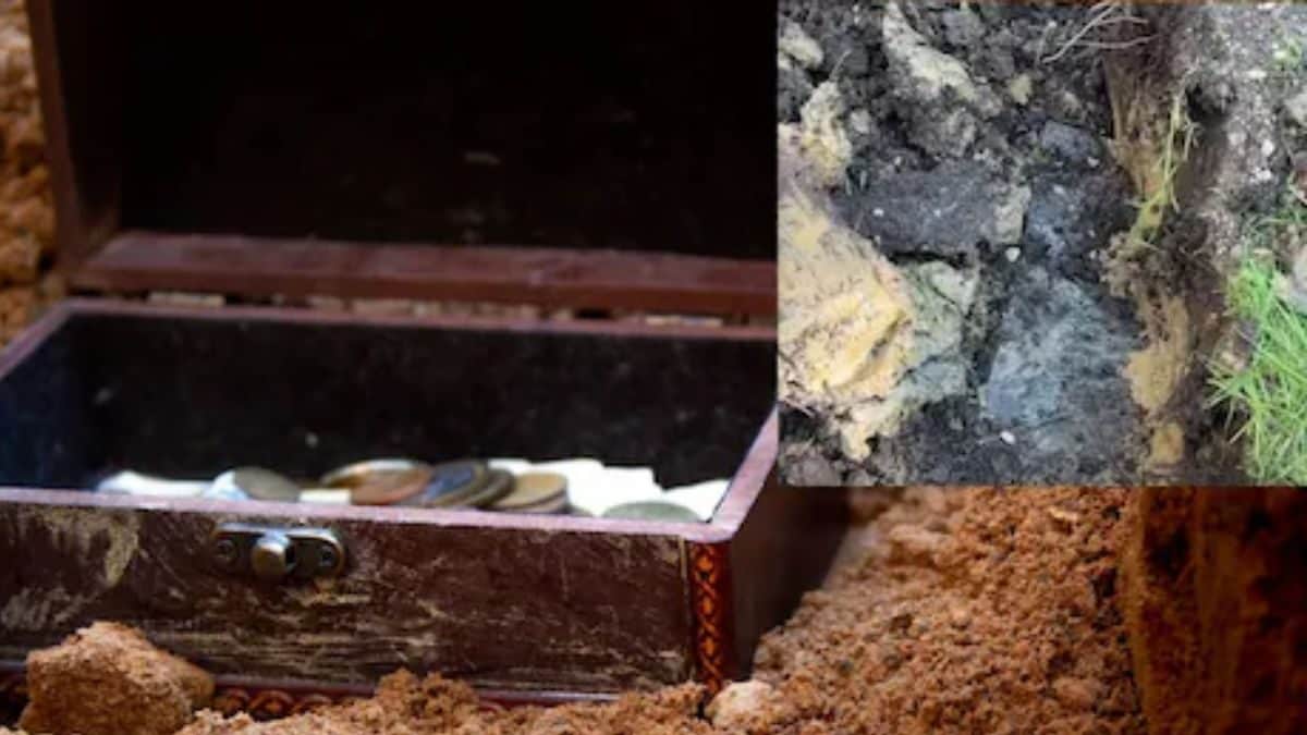 Woman Discovered Mystery Box Buried In Her Garden, And Then This ...