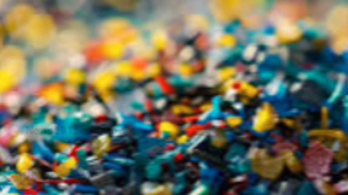 In Alarming Study, Microplastics Found In Human Testicles - News18