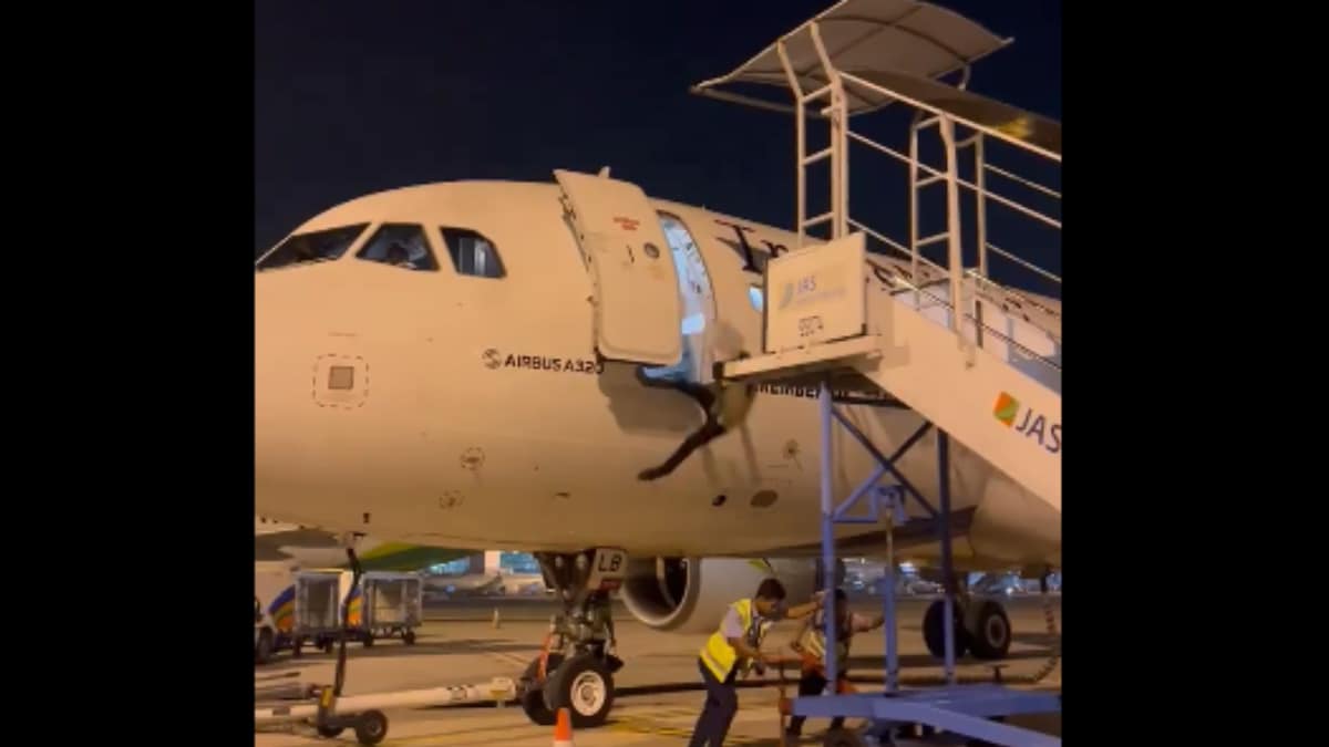 Man Falls Off Plane In Indonesia After Staff Pull Back Stairs; Shocking ...