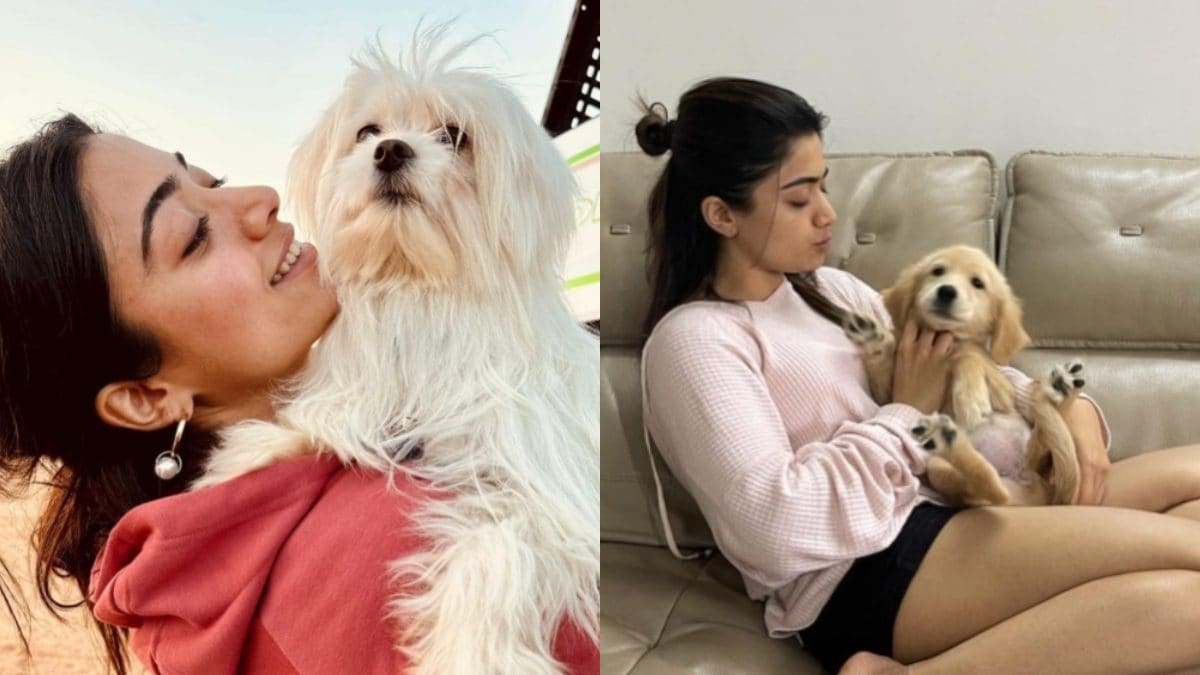 Rashmika Mandanna Shares Adorable Photos Featuring Dogs From Her ...