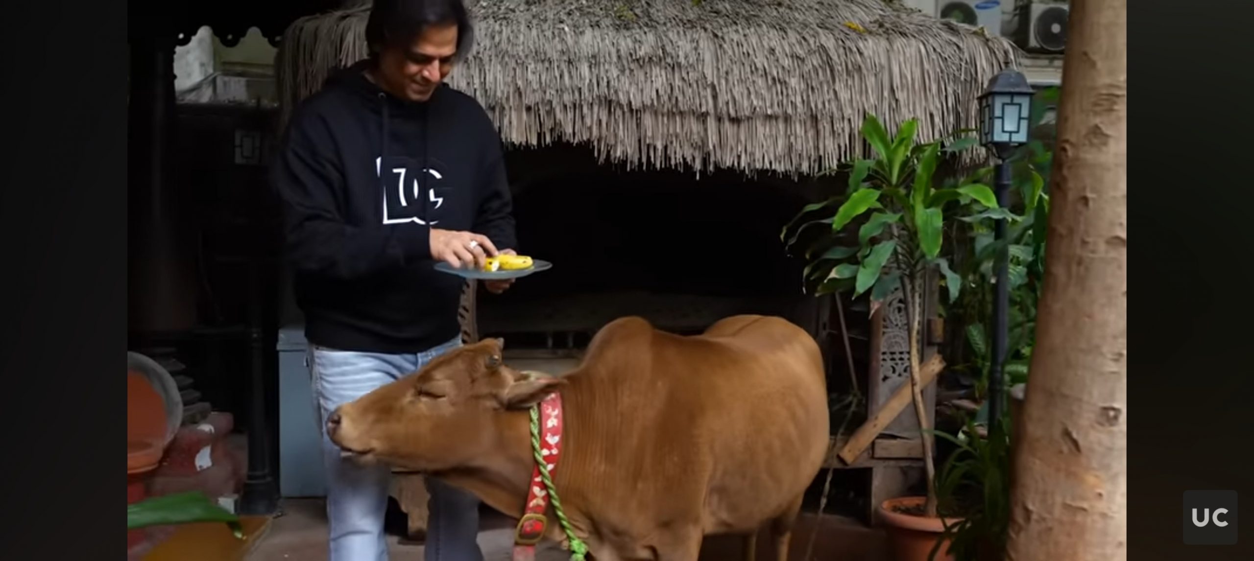 Explore Vivek Oberoi's Mumbai Home: A Goan-Styled Farmhouse With A Cow ...