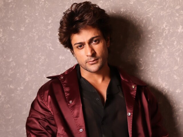 Shalin Bhanot REVEALS Why He Rejected Khatron Ke Khiladi After Bigg ...