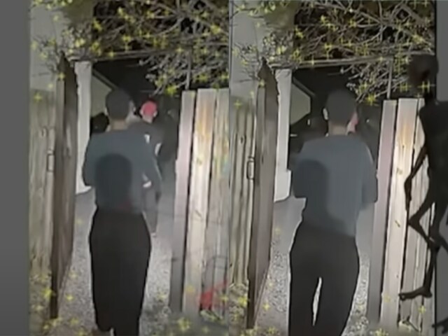 Watch | 'Once You See It, You Can't Deny': Expert Claims Viral Las ...