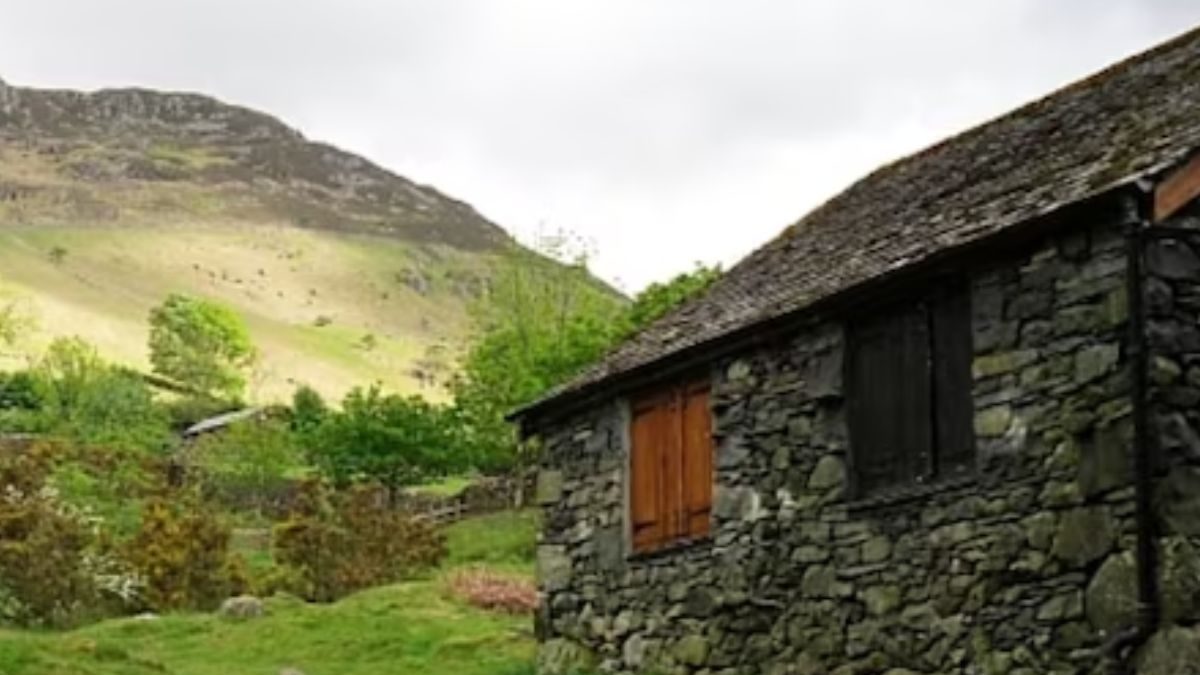 Watch: Ordinary Hut With Extraordinary Amenities | Viral News - News18