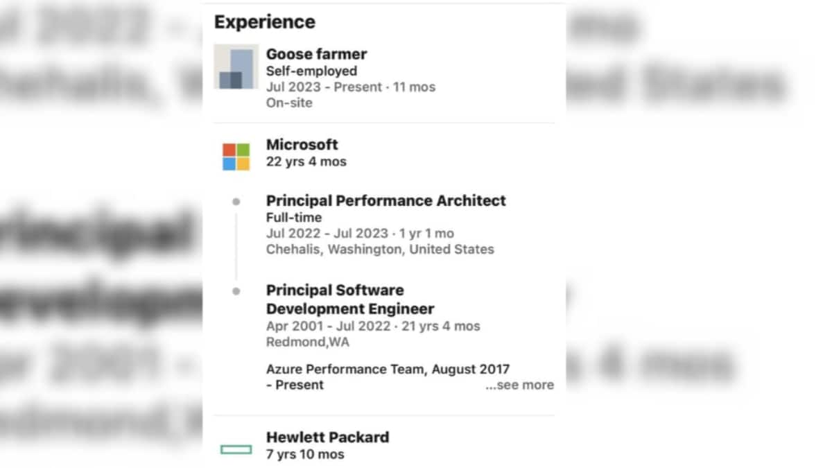 Man Left Microsoft After 22 Years To Become A Goose Farmer? His ...