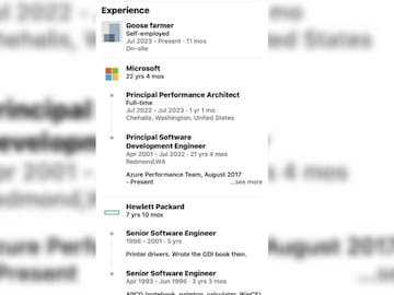 Man Left Microsoft After 22 Years To Become A Goose Farmer? His LinkedIn Profile Says So - News18