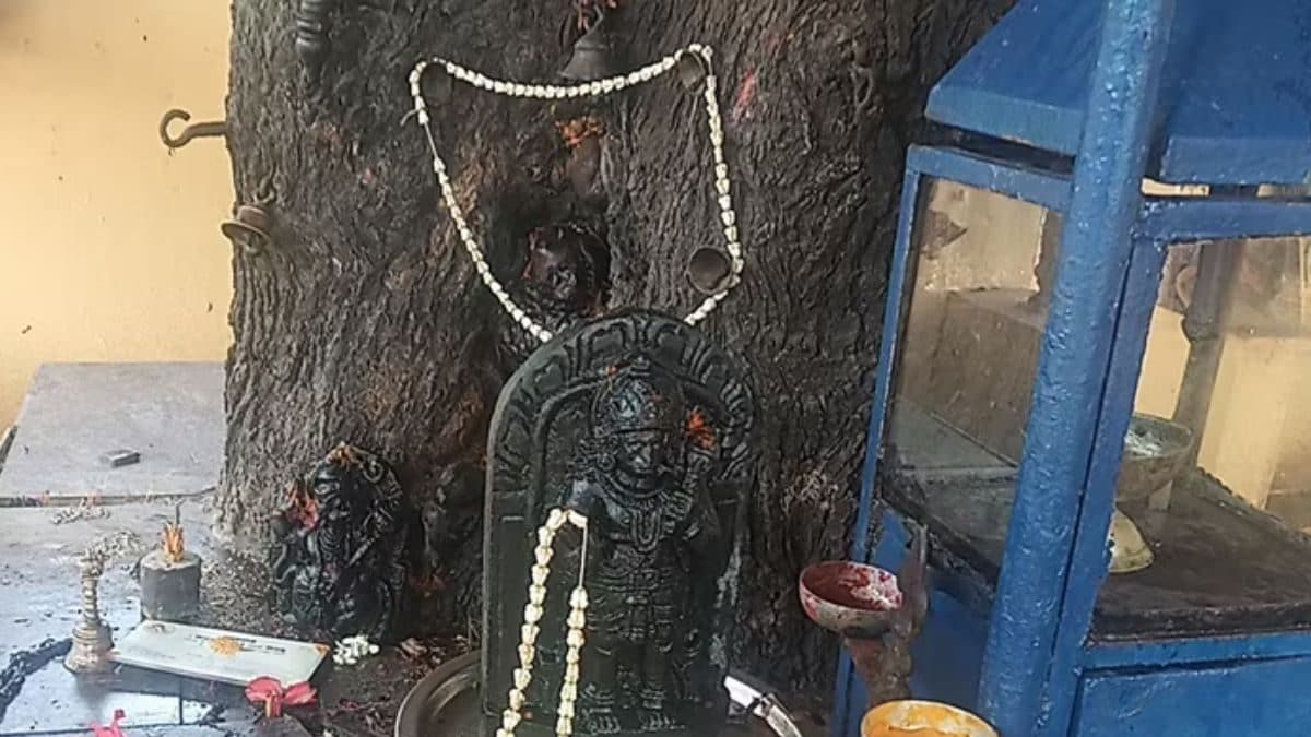 Pilgrims Flock To Karnataka's Sirsi Taluk To Witness Lord Hanuman's ...