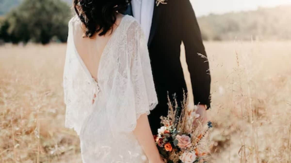 This Professional Wedding Destroyer Will Ruin Your Big Day For A Fee Of ...