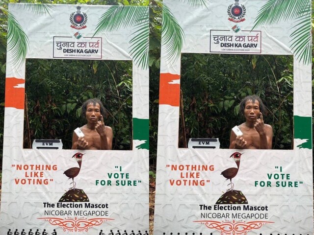 Anand Mahindra's 'Best Picture of 2024' Features Shompen Tribe Voting ...