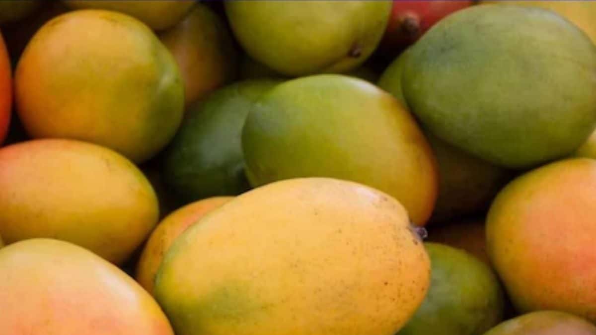 Online Business Model Helps Karnataka Farmer Sell 1,800 Kg Of Mangoes ...