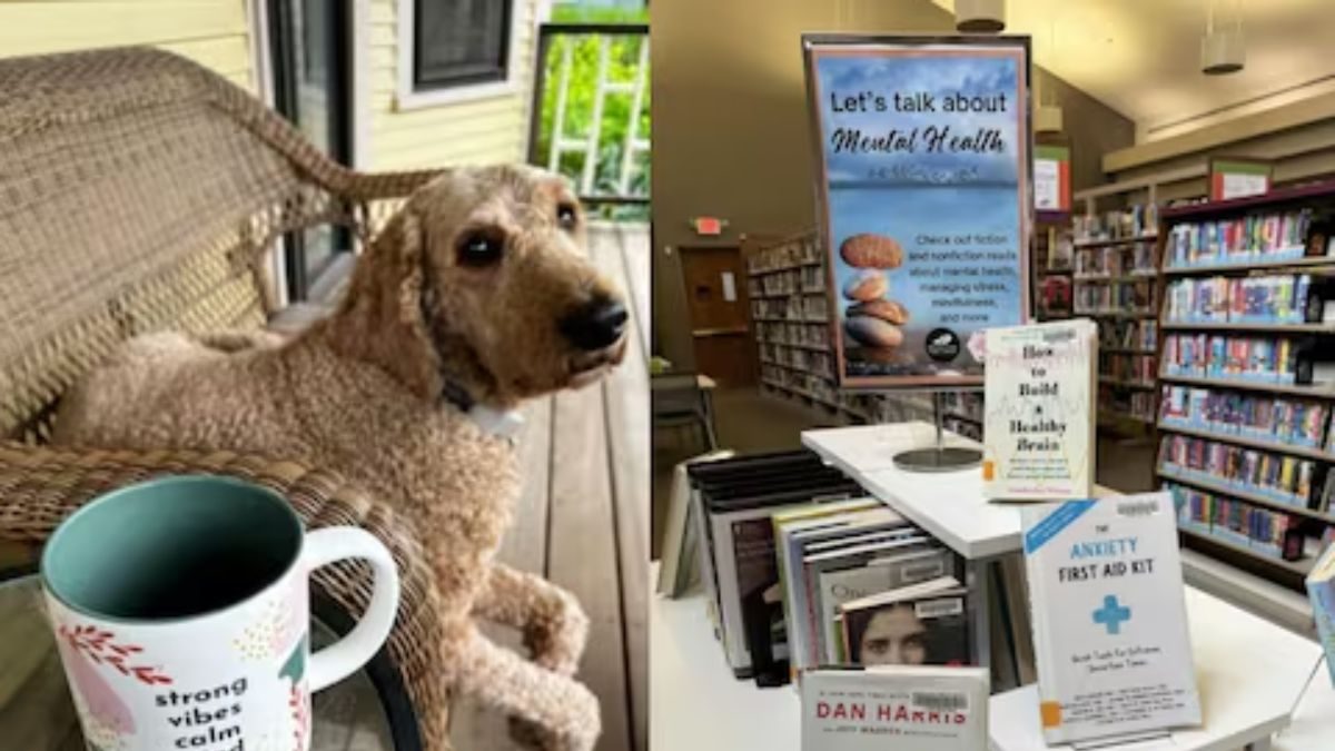 Why This US Library Demands Pictures Of Pets When Customers Return Torn ...