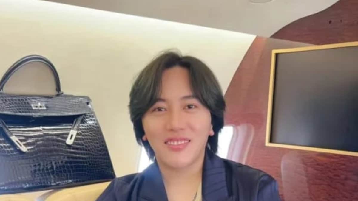 China's 'Kim Kardashian' Aka Wang Hongquanxing Banned From Social Media ...