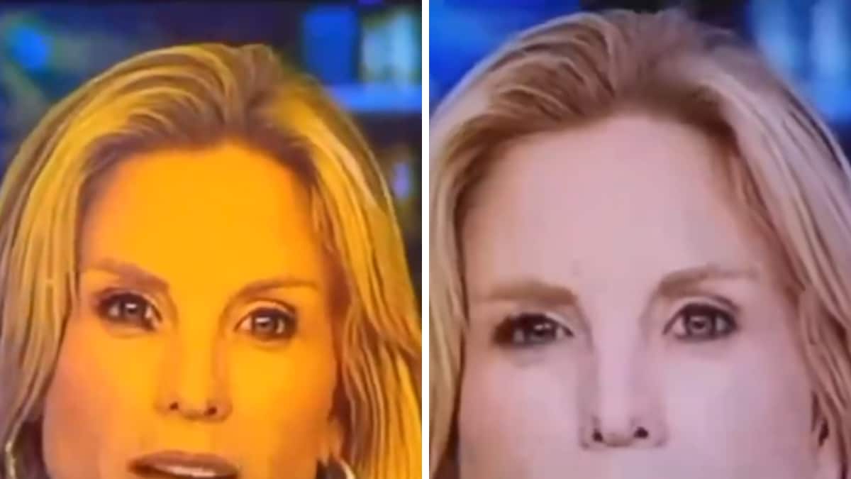 Watch: News Anchor 'Swallows' Fly During Live Telecast | Viral News ...