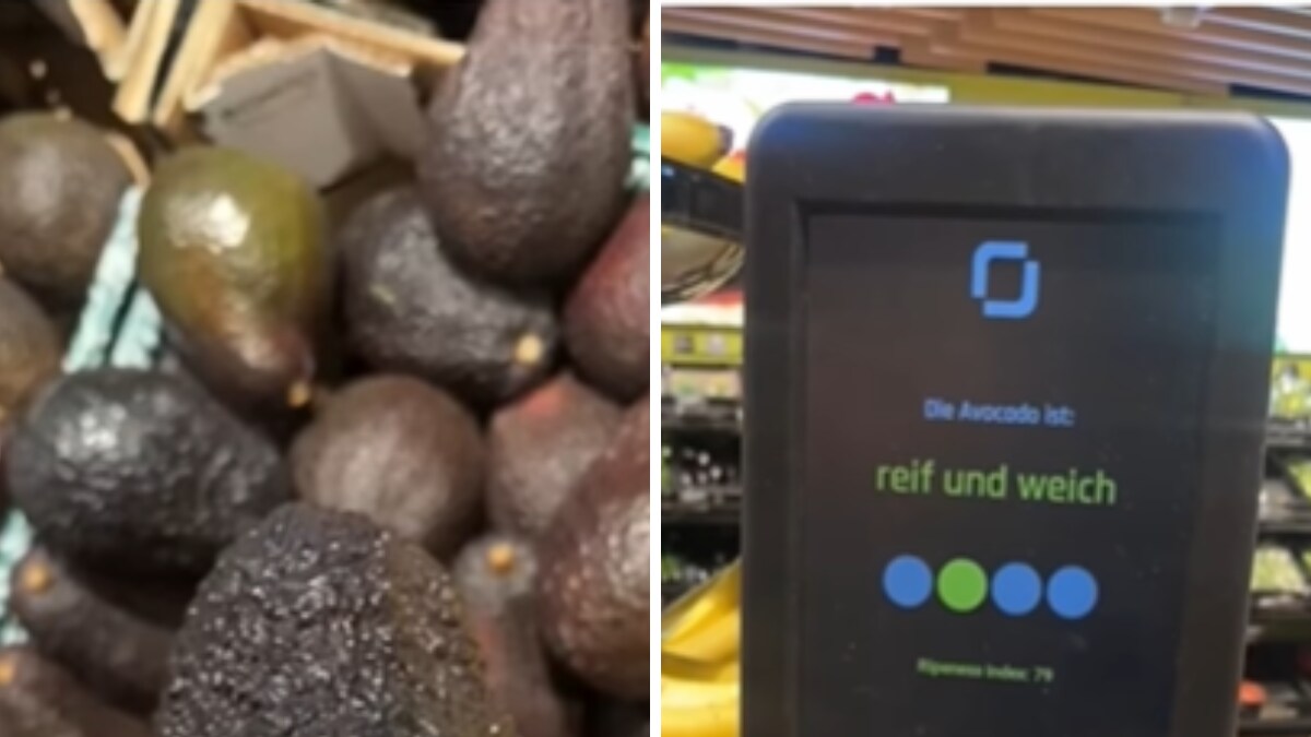Ever Heard Of A Scanner To Check Ripeness Of Avocados? This Video Is ...