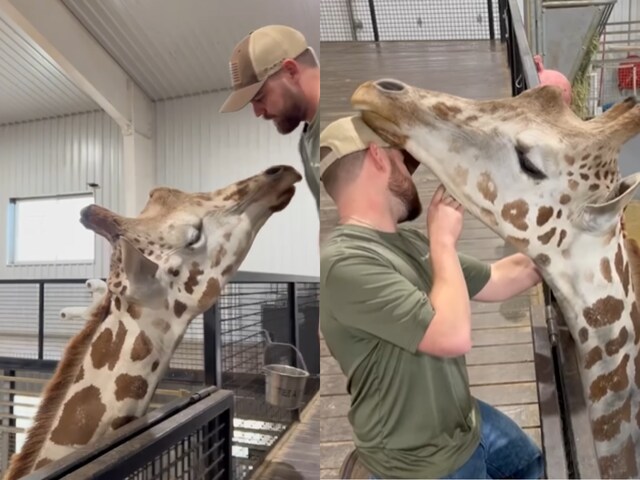 This Video Of A Giraffe Bonding With Vet Is Winning A Million Hearts ...