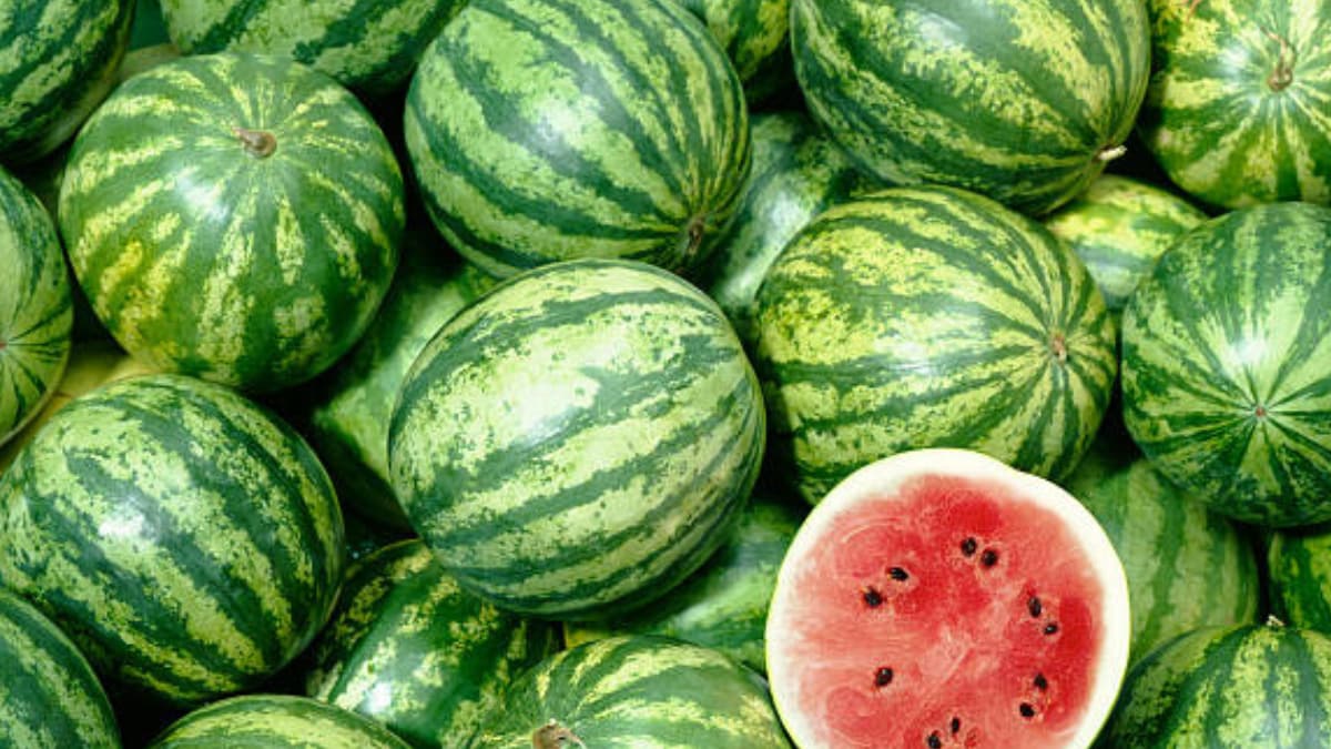Here's How To Find Out Whether Your Watermelon Is Safe For Consumption ...