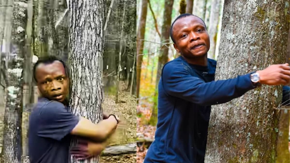 To Enter Guinness World Records, Man Hugs Over 1,100 Trees In One Hour ...