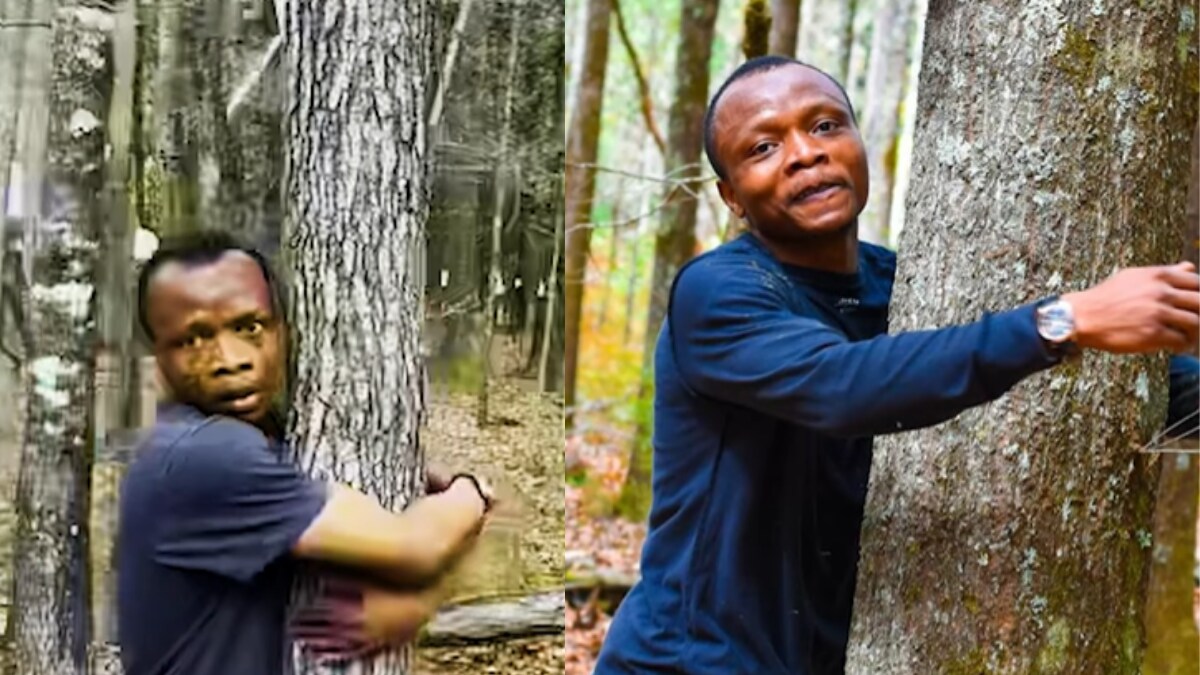 To Enter Guinness World Records, Man Hugs Over 1,100 Trees In One Hour ...