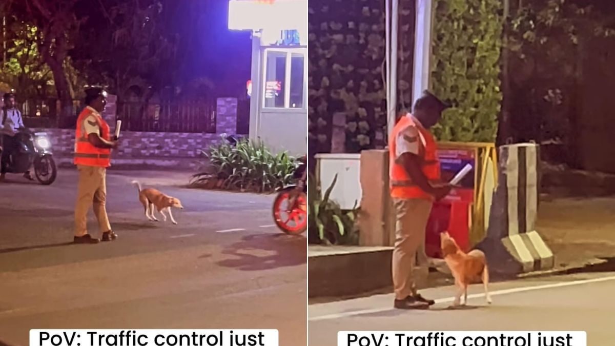 Viral Video of Busy Traffic Cop Managing Streets with His Furry Friend ...