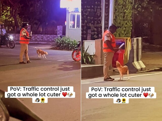 Viral Video of Busy Traffic Cop Managing Streets with His Furry Friend ...