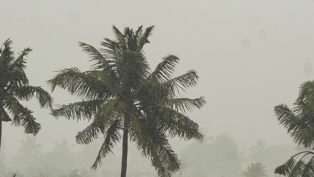 Cyclone Remal LIVE: 4 Dead In Bengal As Severe Storm Makes Landfall ...