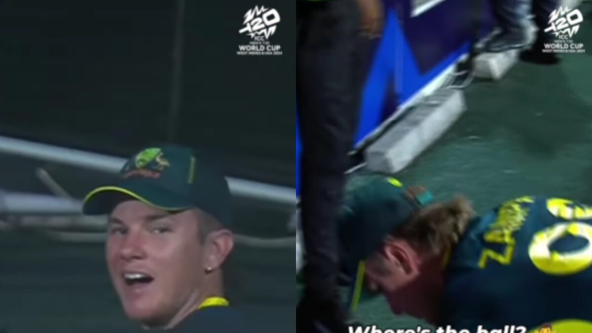 Watch: Scenes From Gully Cricket as Adam Zampa Searches for 'Lost Ball ...