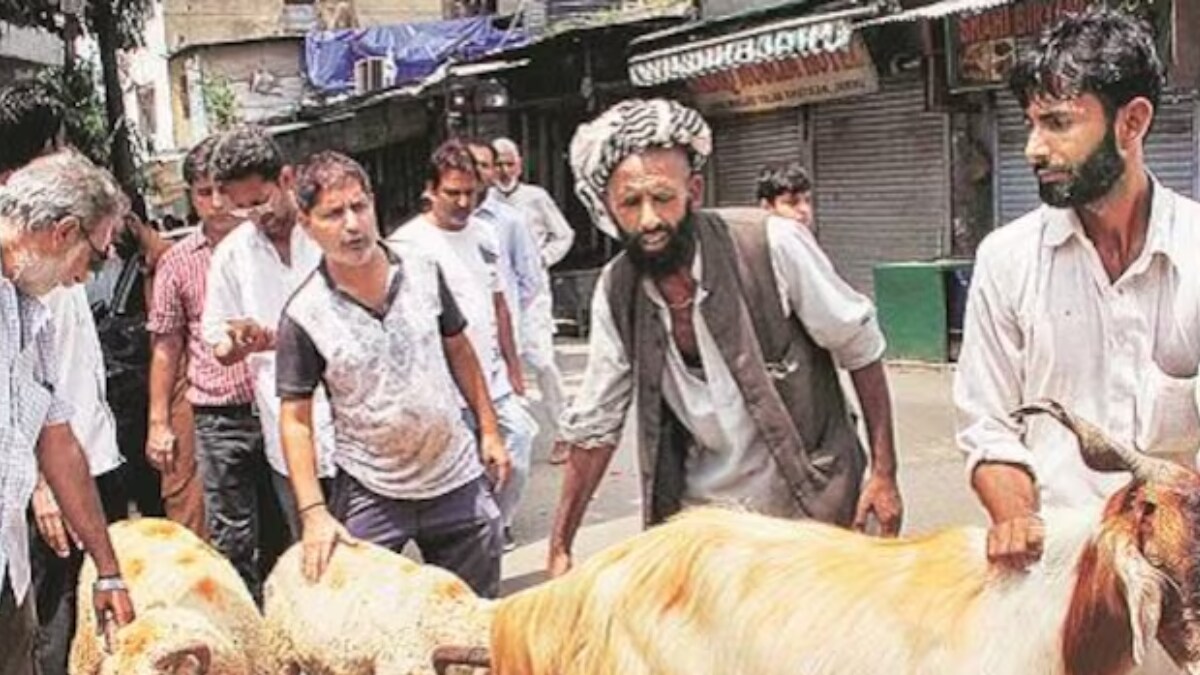 HC Asks Mira-Bhayandar Civic Body to Consider Fresh Plea on Animal ...